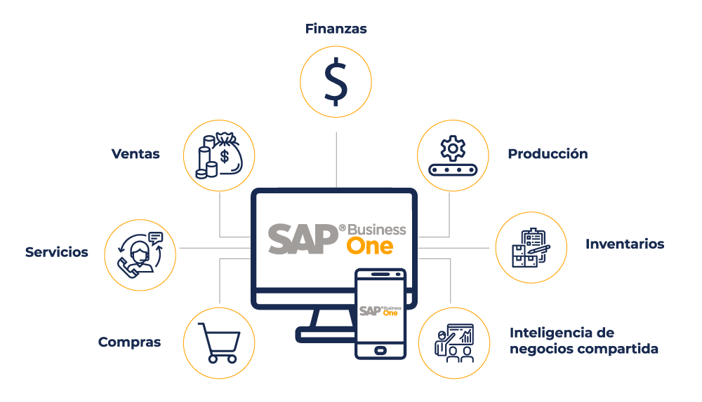 ERP SAP Business One 10.0